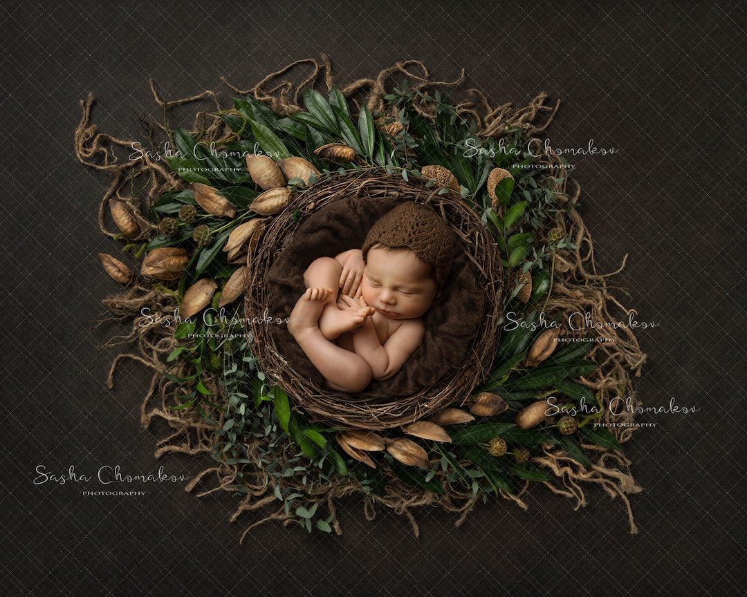 Digital Backdrop, Background Newborn Baby Girl or Boy Dark Brown ...