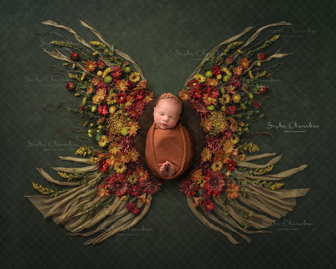 Digital Backdrop, Background Newborn Baby Girl Dark Brown Green ...