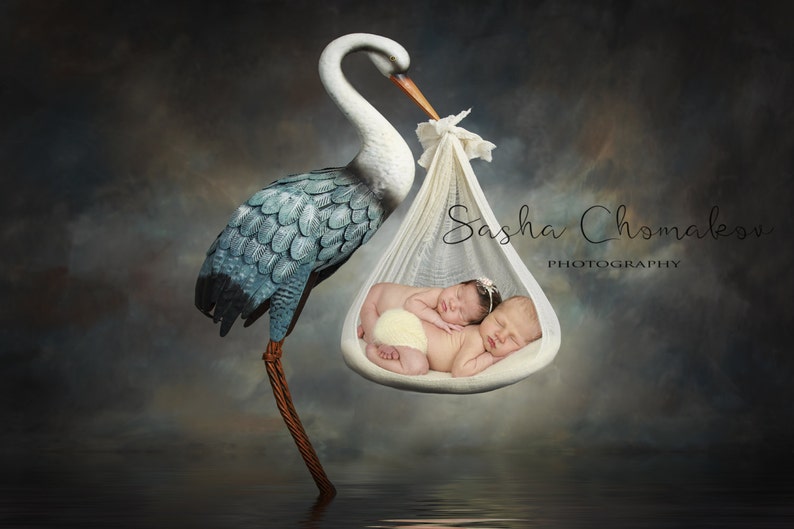 Digital Backdrop Background Newborn Baby Twins Girl Boy Stork Stork - Etsy