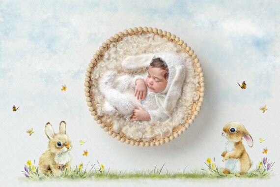 Digital backdrop background newborn baby girl bunnies baby | Etsy
