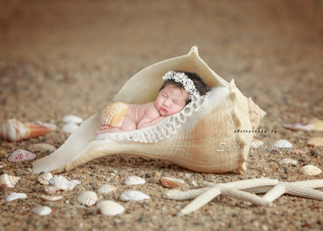 Sea Shell Digital Background , Newborn Baby Backdrop Nautical Sea Fairy ...