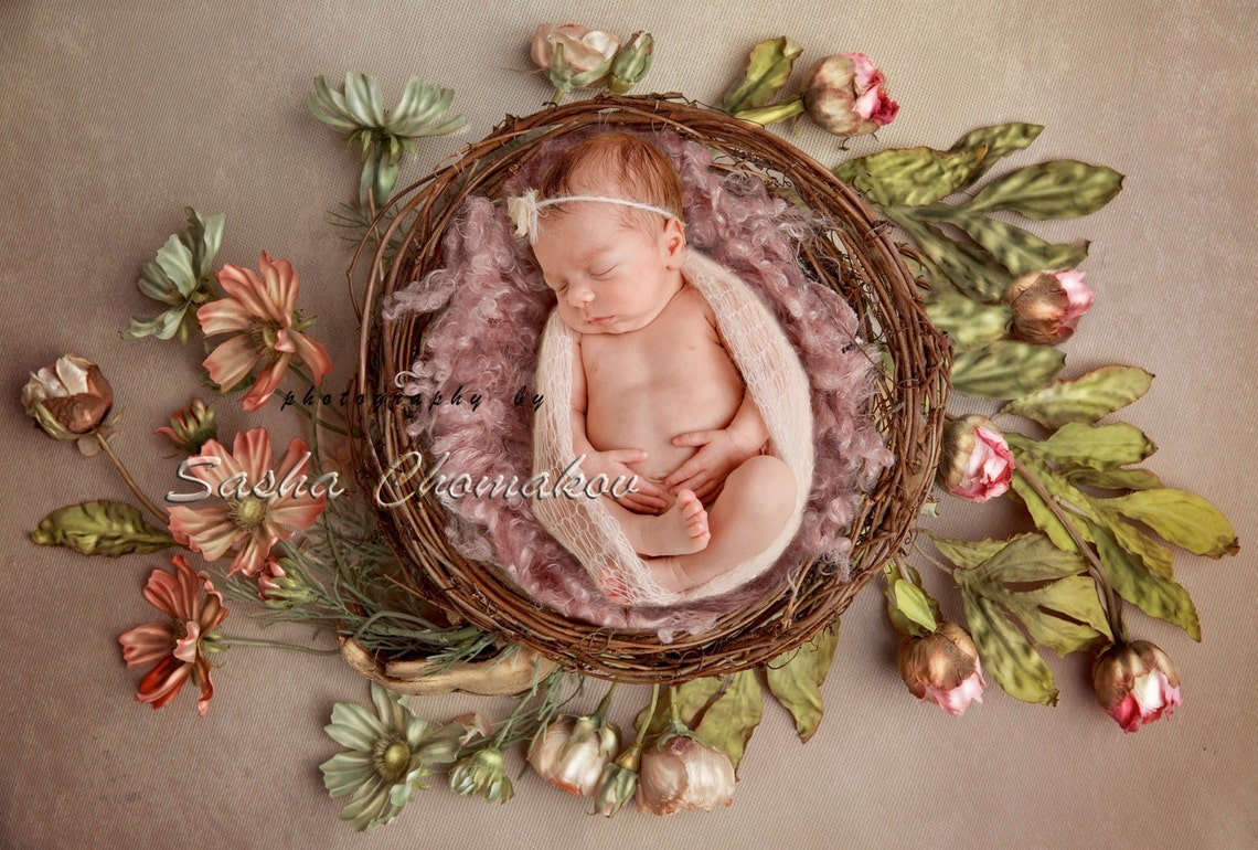 Digital Backdrop Background Newborn Baby Girl Flowers - Etsy
