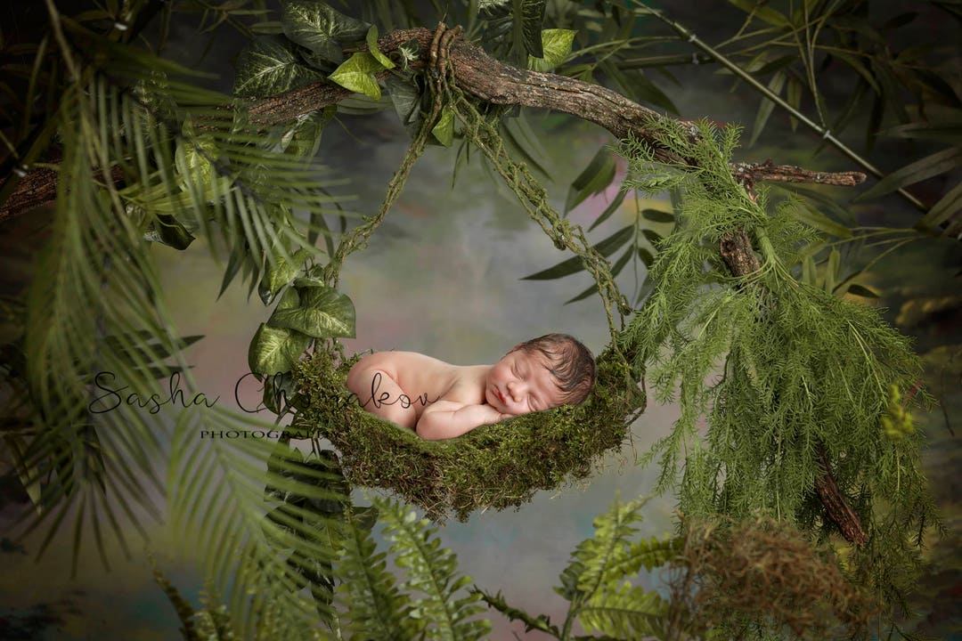Digital Backdrop Background Newborn Baby Girl or Boy Jungle Forest ...