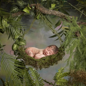 Digital Backdrop Background Newborn Baby Girl or Boy Jungle Forest ...