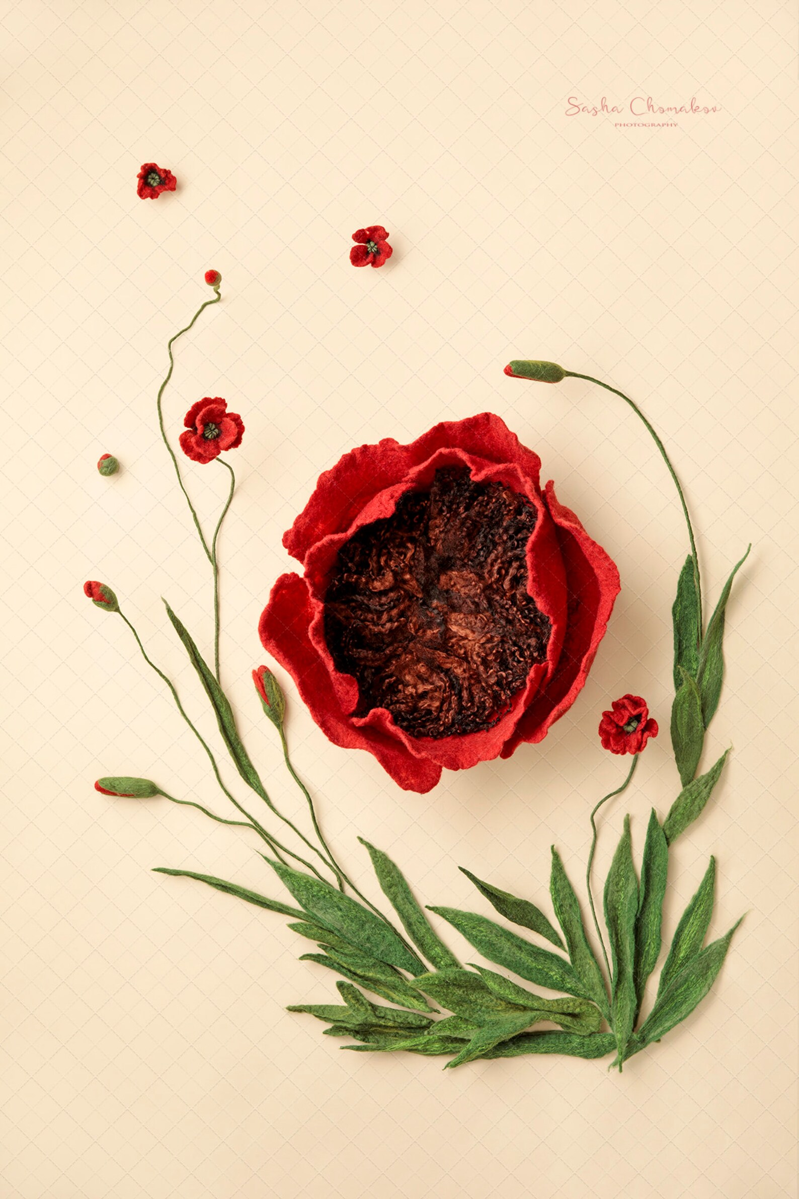 Digital Backdrop, Background Newborn Baby Girl Red Poppy Flower Felted ...