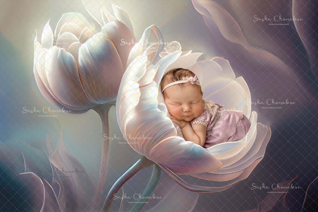 Digital Backdrop, Background Newborn Baby Girl , Hand Painted Light ...