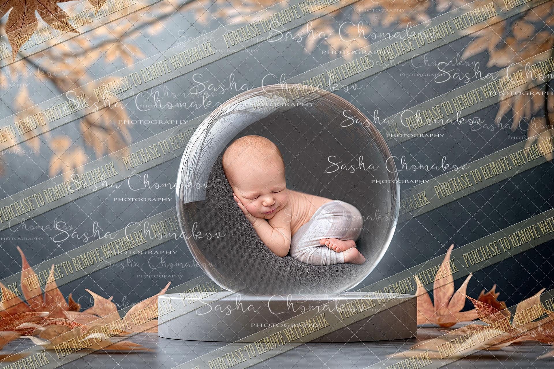 Digital Backdrop, Background Newborn Sitter Family Baby Girl Boy Fall ...