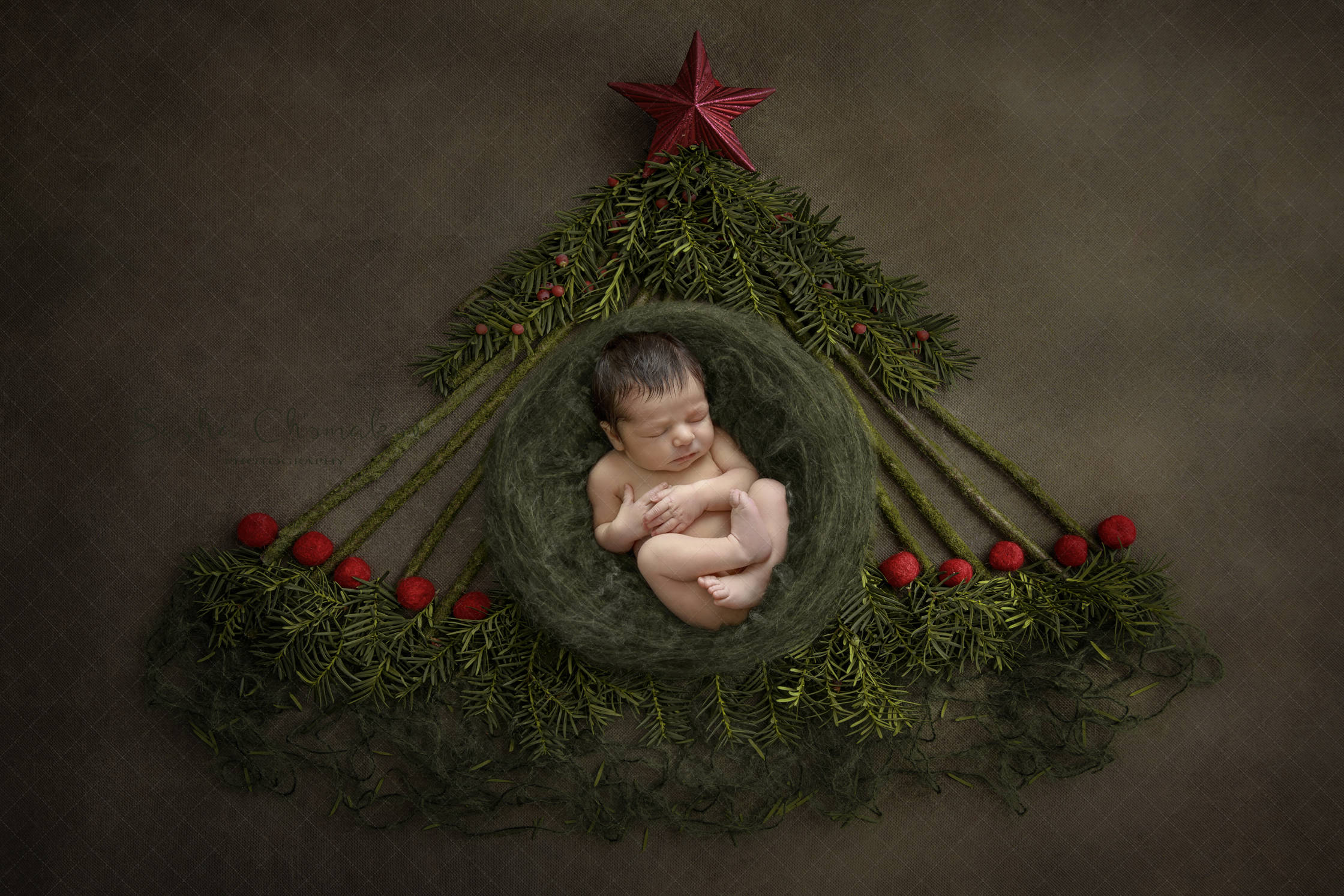 Digital Backdrop Background Newborn Baby Girl or Boy Overhead - Etsy