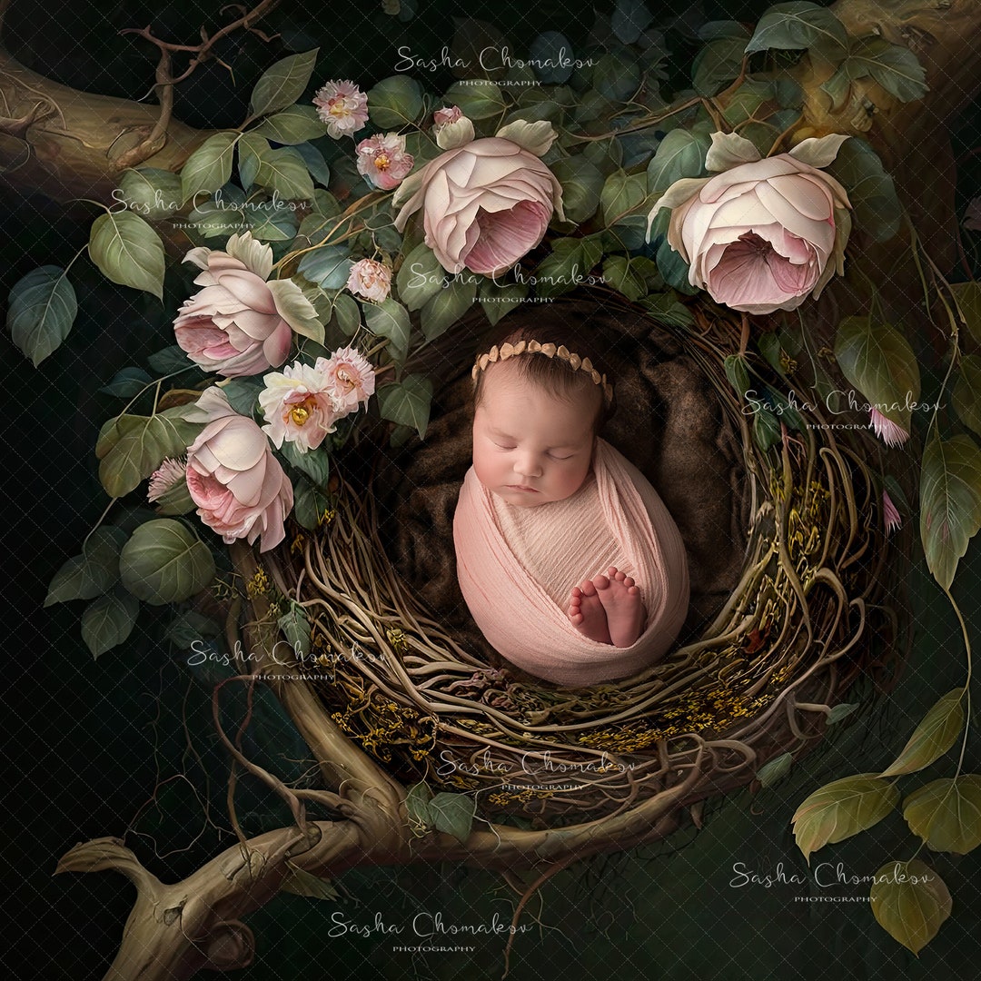 Digital Backdrop, Background Newborn Baby Girl Nest With Big Pink ...