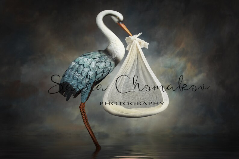 Digital Backdrop Background Newborn Baby Twins Girl Boy Stork Stork - Etsy