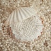 Digital Backdrop Background Newborn Baby Girl Pearls Sea Shell - Etsy