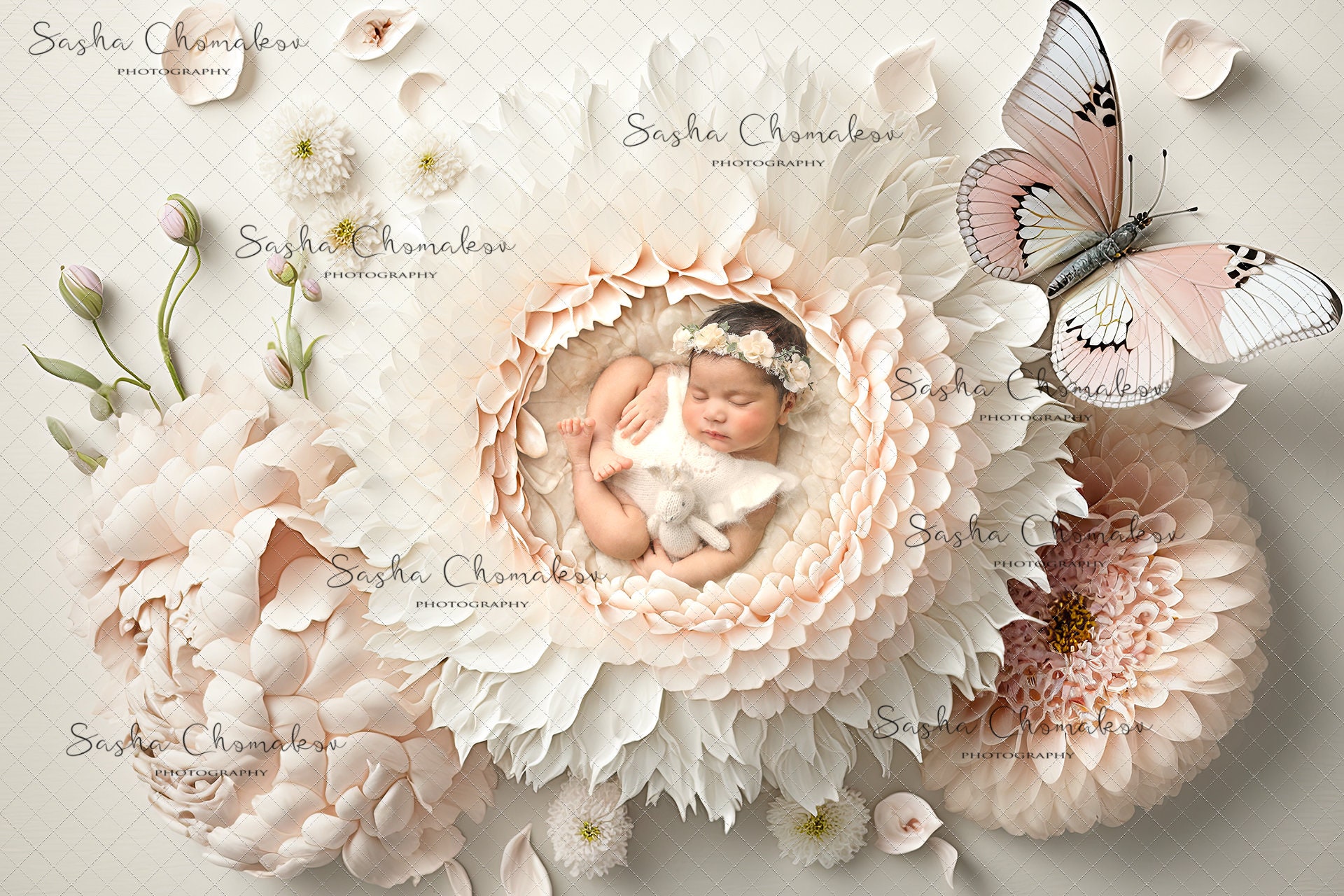 Digital Backdrop, Background Newborn Baby Girl White Pink Peach Flowers ...