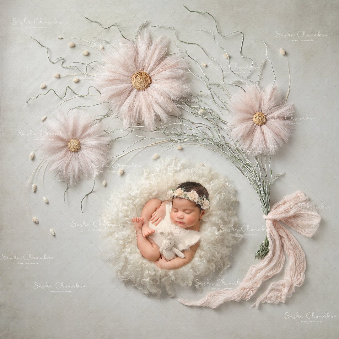 Digital Backdrop Background Newborn Baby Girl Pink Flowers Light White ...