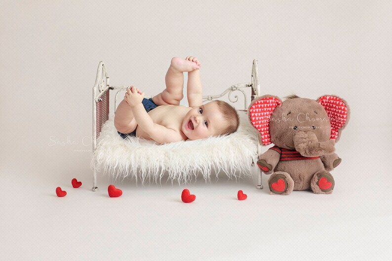 Digital Backdrop Background Newborn Baby Girl Boy Family - Etsy