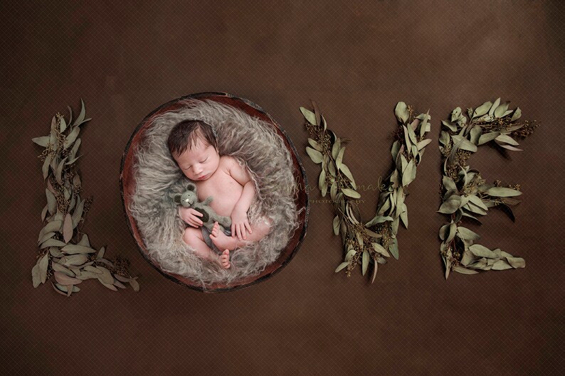 Digital Backdrop Background Newborn Baby Girl or Boy Gray Fur ...