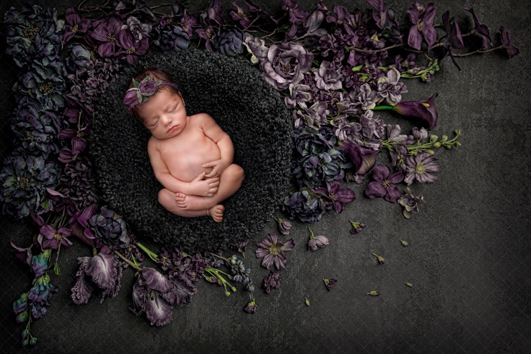 Digital Backdrop Background Newborn Baby Girl Purple and Gray Overhead ...