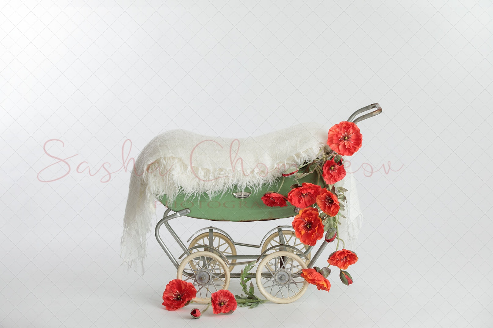 Digital Backdrop Background Newborn Baby Girl Red Poppy | Etsy