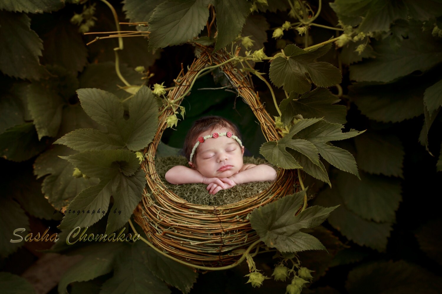 Digital Backdrop Background Newborn Boy or Girl Outdoor - Etsy