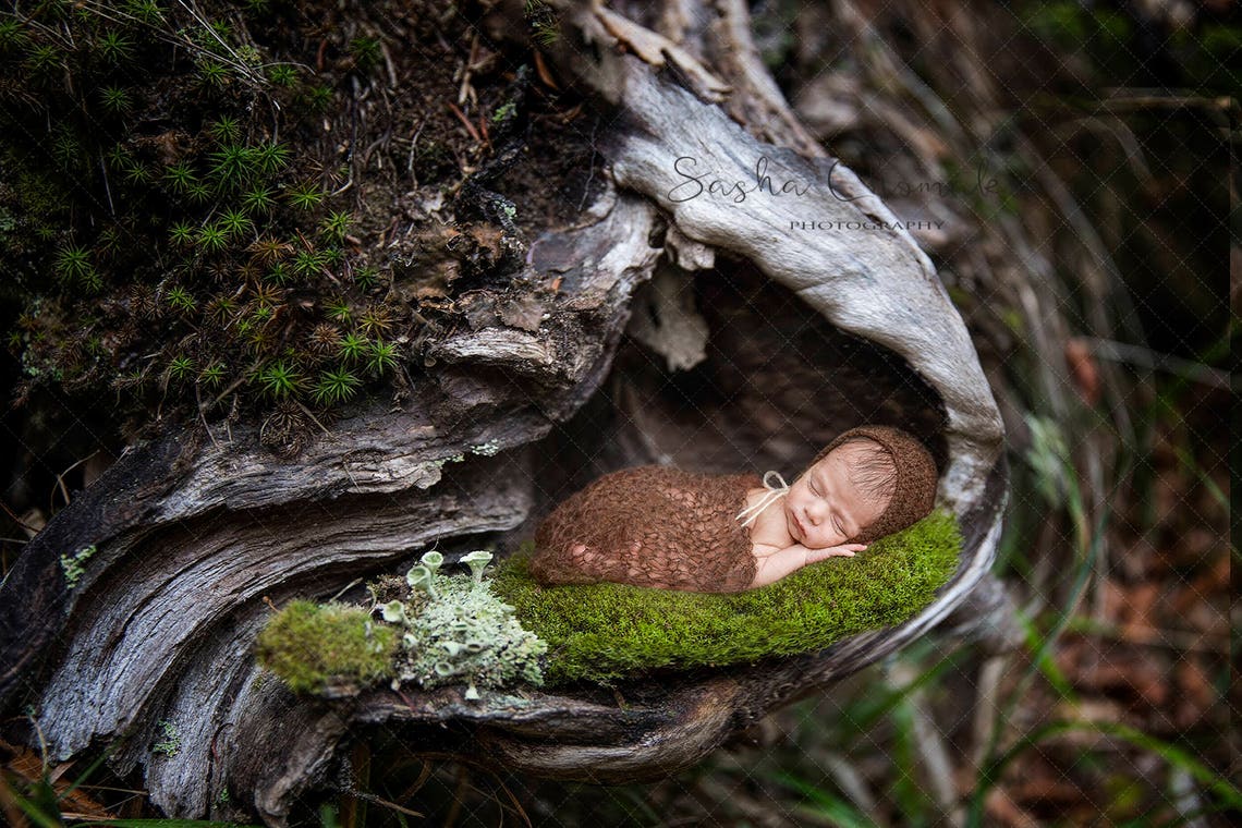 Digital Backdrop, Background Newborn Baby Girl or Boy , Forest Fairy ...