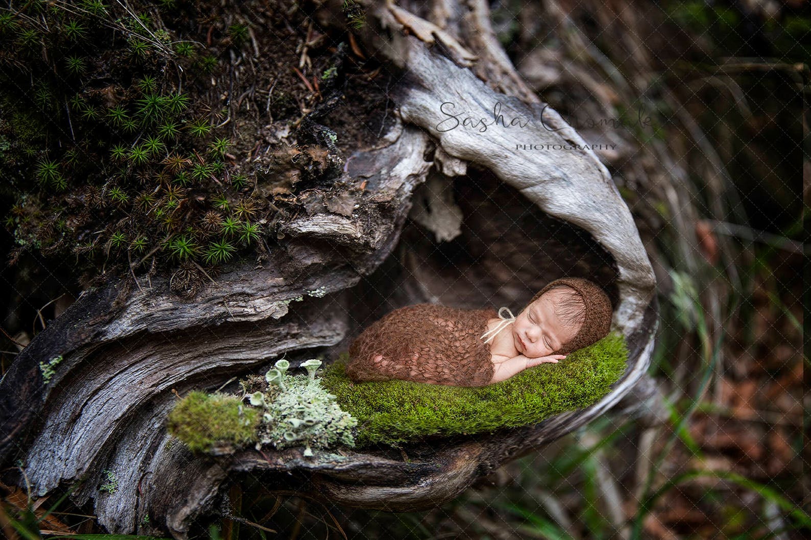 Digital Backdrop, Background Newborn Baby Girl or Boy , Forest Fairy ...