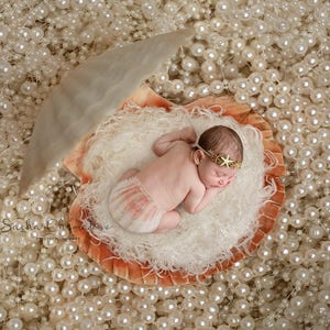 Digital Backdrop, Background Newborn Baby Girl Pearls Sea Shell Mermaid ...