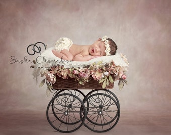 Digital Backdrop Background Newborn Baby Girl Red Poppy | Etsy