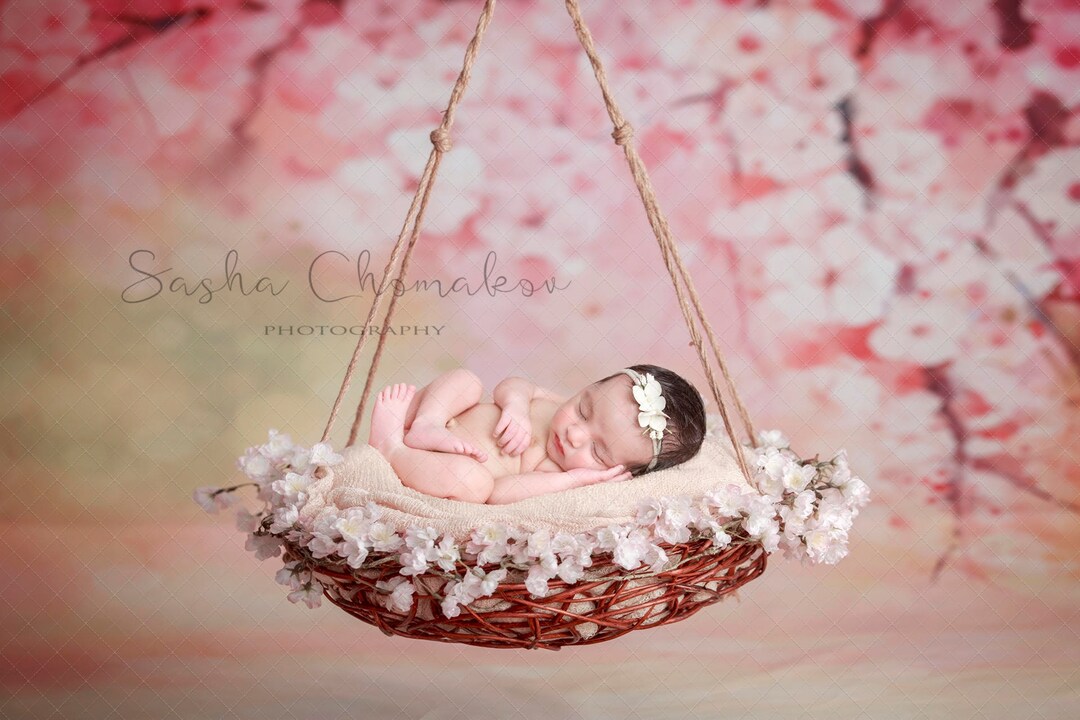 Digital Backdrop Background Newborn Baby Girl Pink Flowers Swing ...