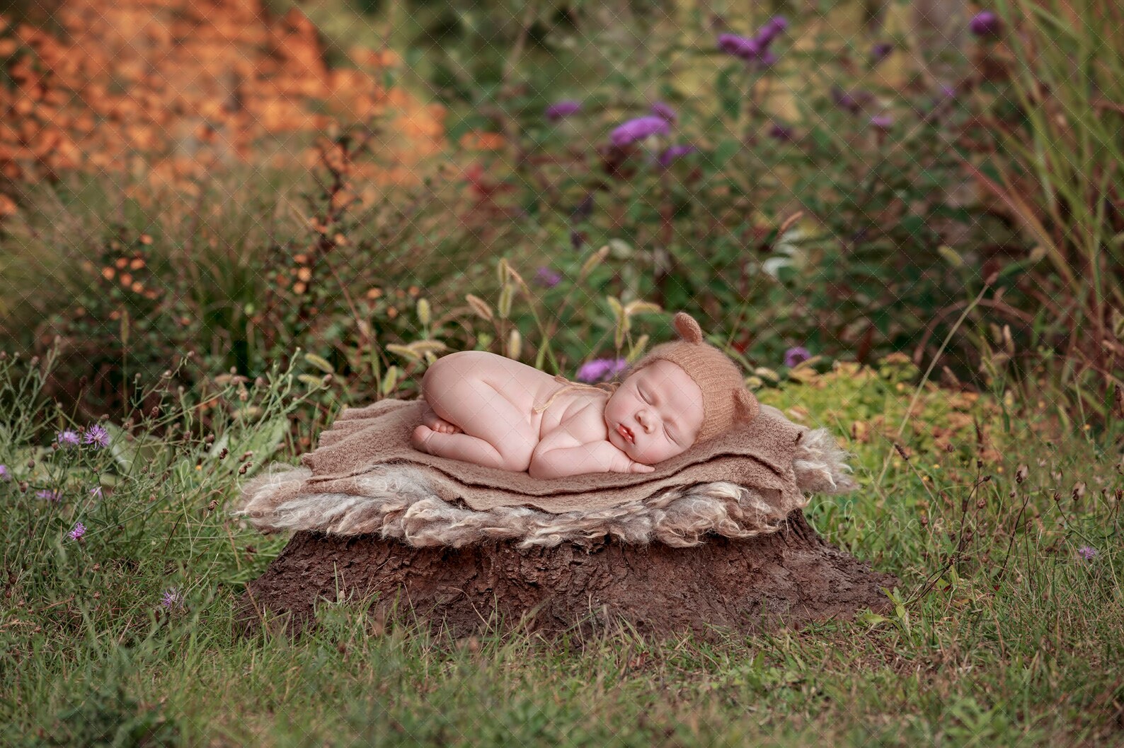 Digital Backdrop, Background Newborn Baby Girl or Boy Tree Stump ...