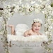 Digital Backkdrop Background Newborn Todler 6 Months Old Baby Girl ...
