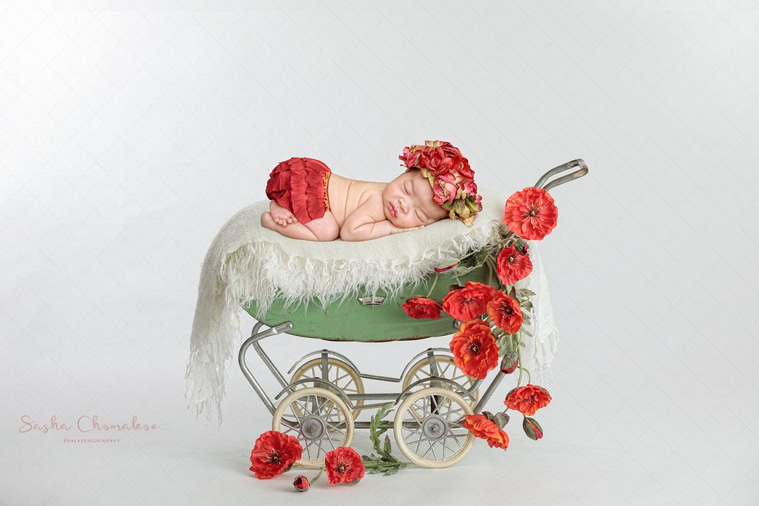 Digital Backdrop, Background Newborn Baby Girl Red Poppy Flowers ...