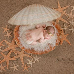 Digital Backdrop, Background Newborn Baby Girl Pearls Sea Shell Mermaid ...