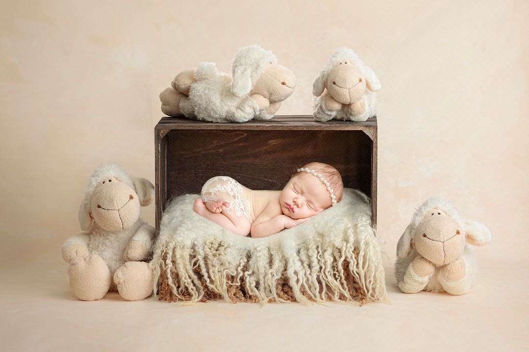Digital Backdrop, Background Newborn Baby Girl or Boy Cream off White ...