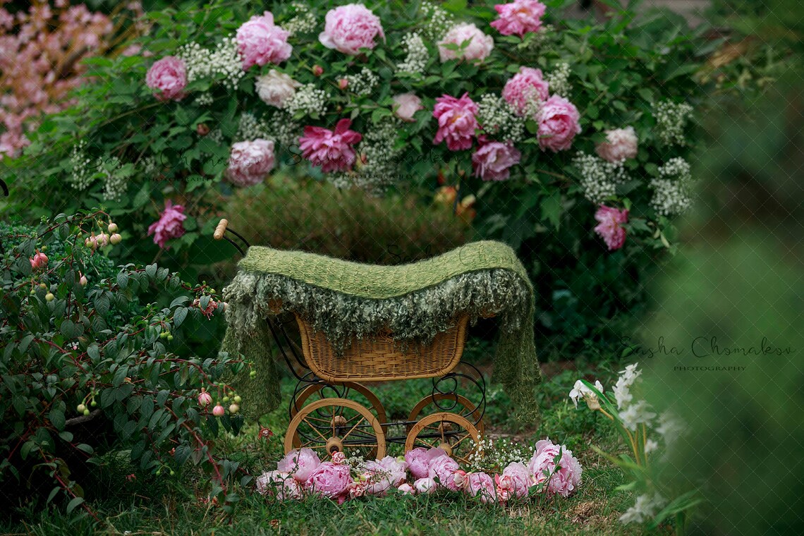 Digital Backdrop, Background Newborn Baby Girl or Boy , Forest Fairy ...