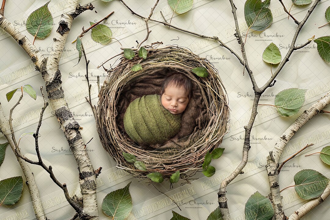 Digital Backgrounds Backdrops Newborn Girl Boy Overhead Real Nest With ...