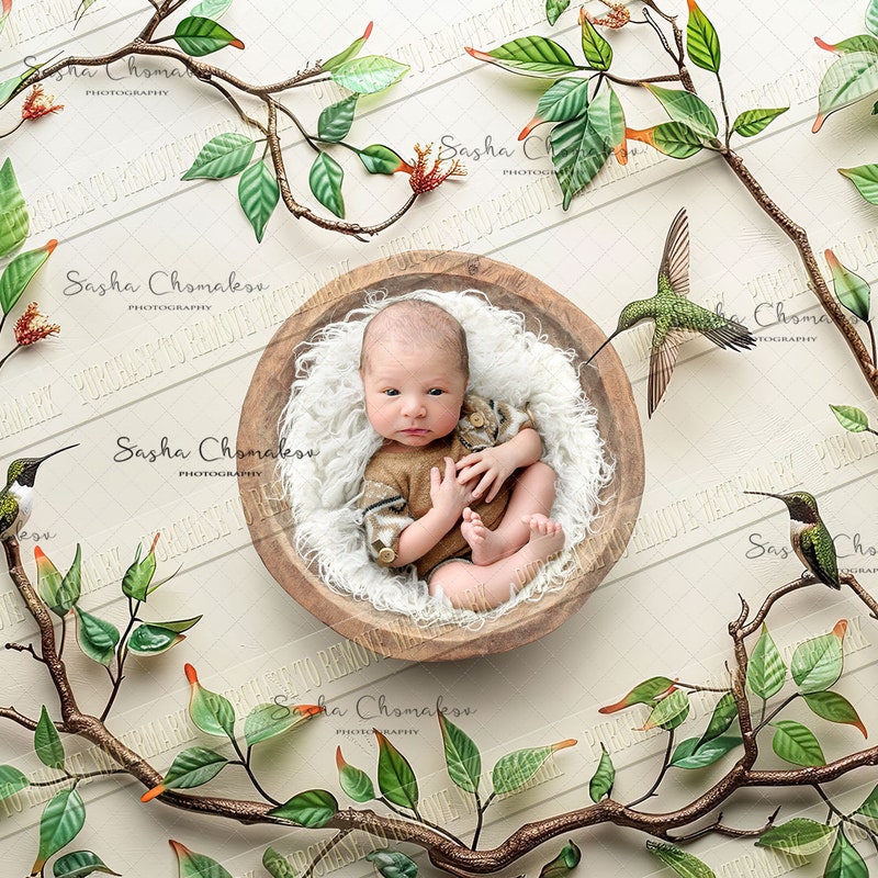 Bird Backdrop - Etsy