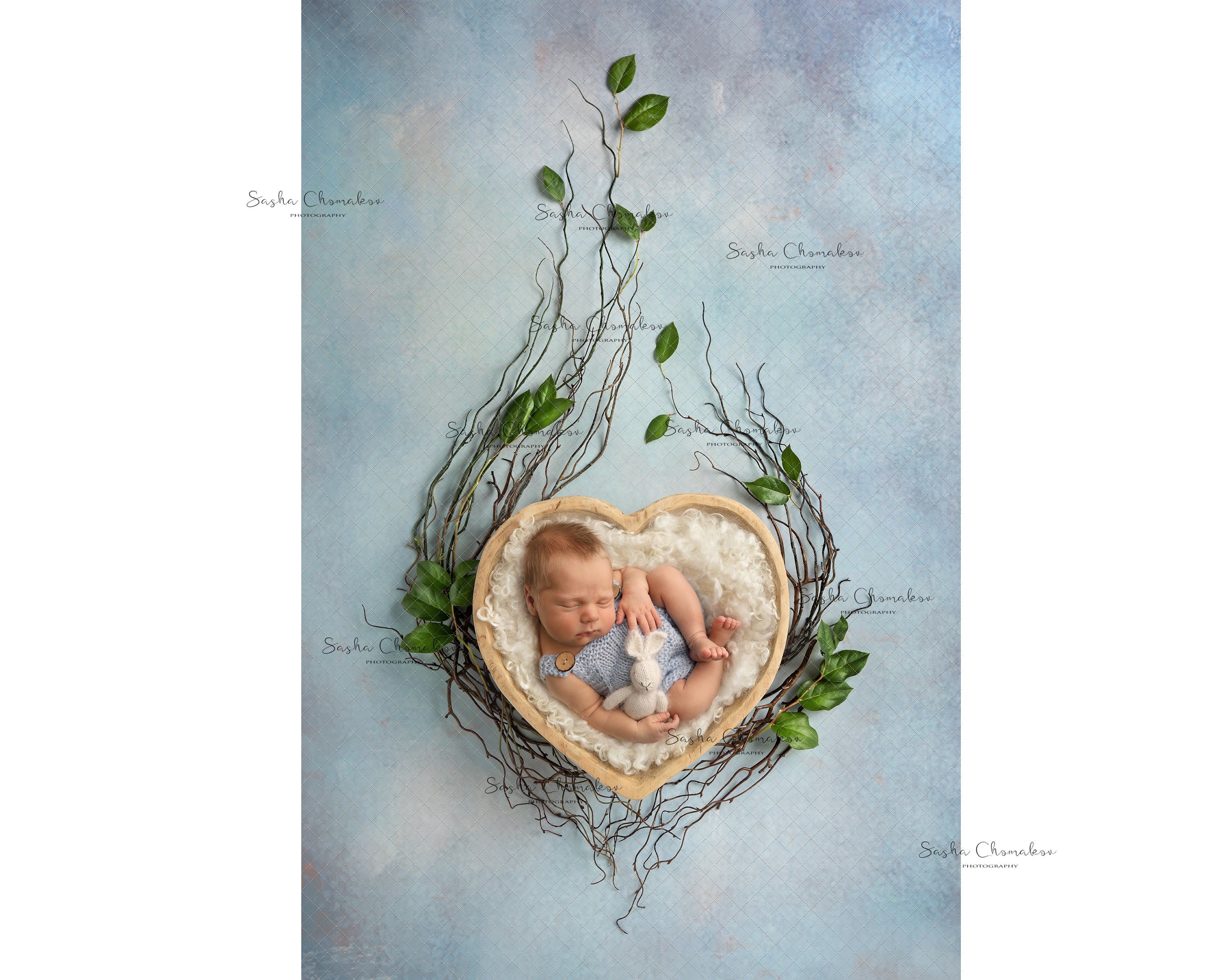 Digital Backdrop Background Newborn Girl or Boy Spring Overhead Heart ...