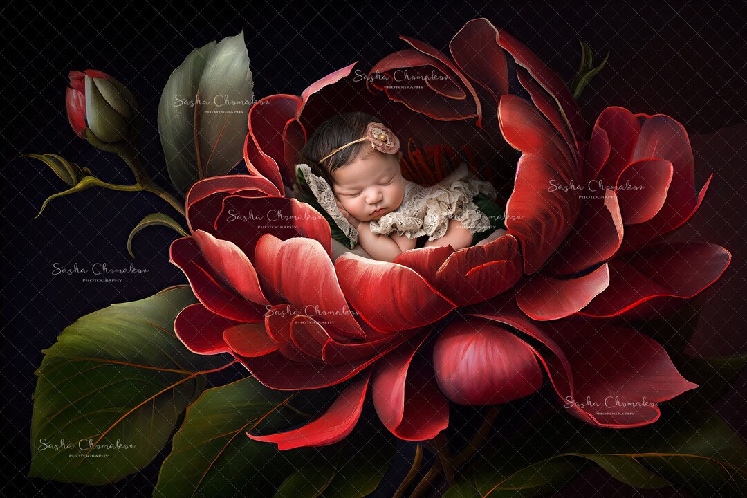 Digital Backdrop, Background Newborn Baby Girl , Hand Painted Red ...