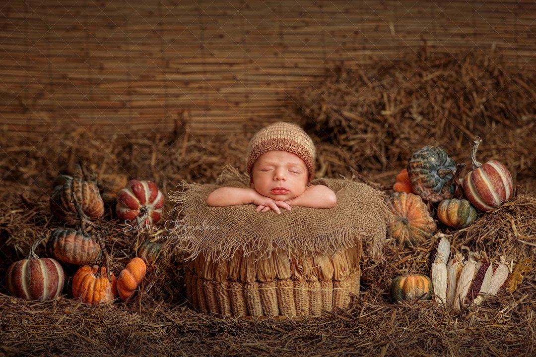 Digital Backdrop, Background Newborn Baby Girl or Boy Vintage Sitter ...