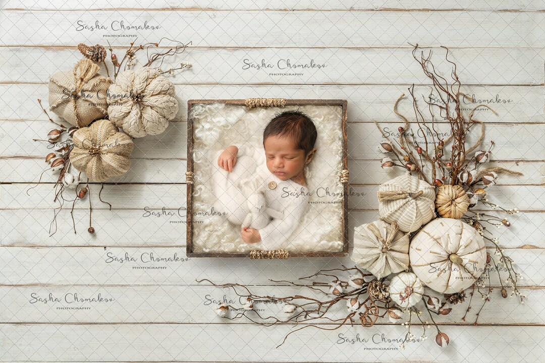 Digital Backdrop, Background Newborn Baby Girl Boy Overhead Natural ...