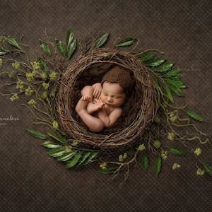 Digital Backdrop, Background Newborn Baby Girl or Boy Dark Brown ...