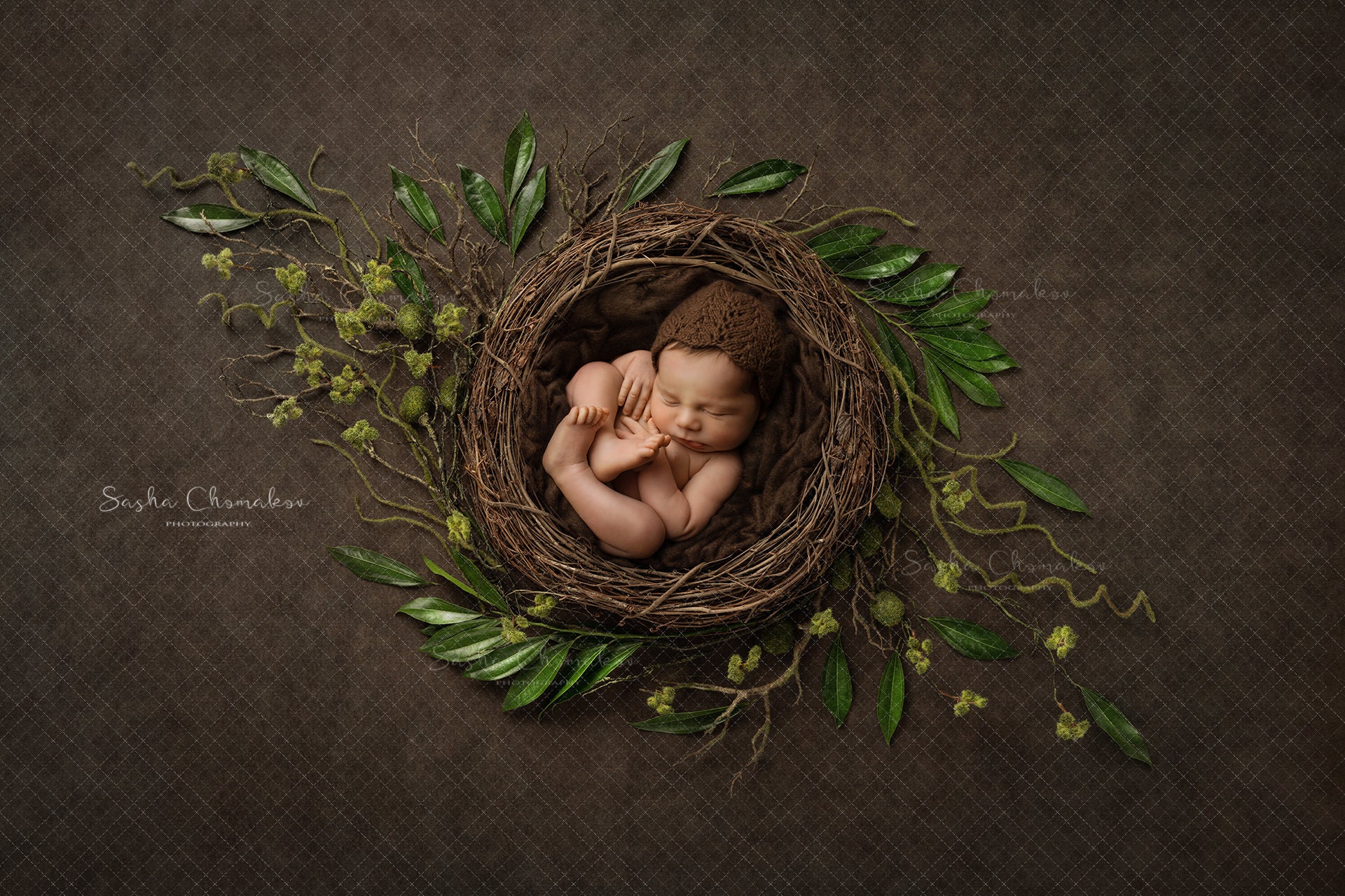 Digital Backdrop, Background Newborn Baby Girl or Boy Dark Brown ...
