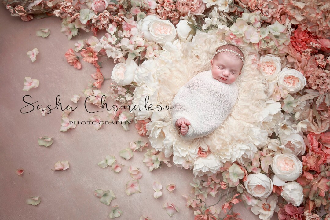 Digital Backdrop Background Newborn Baby Girl Flowers Peach Pink - Etsy