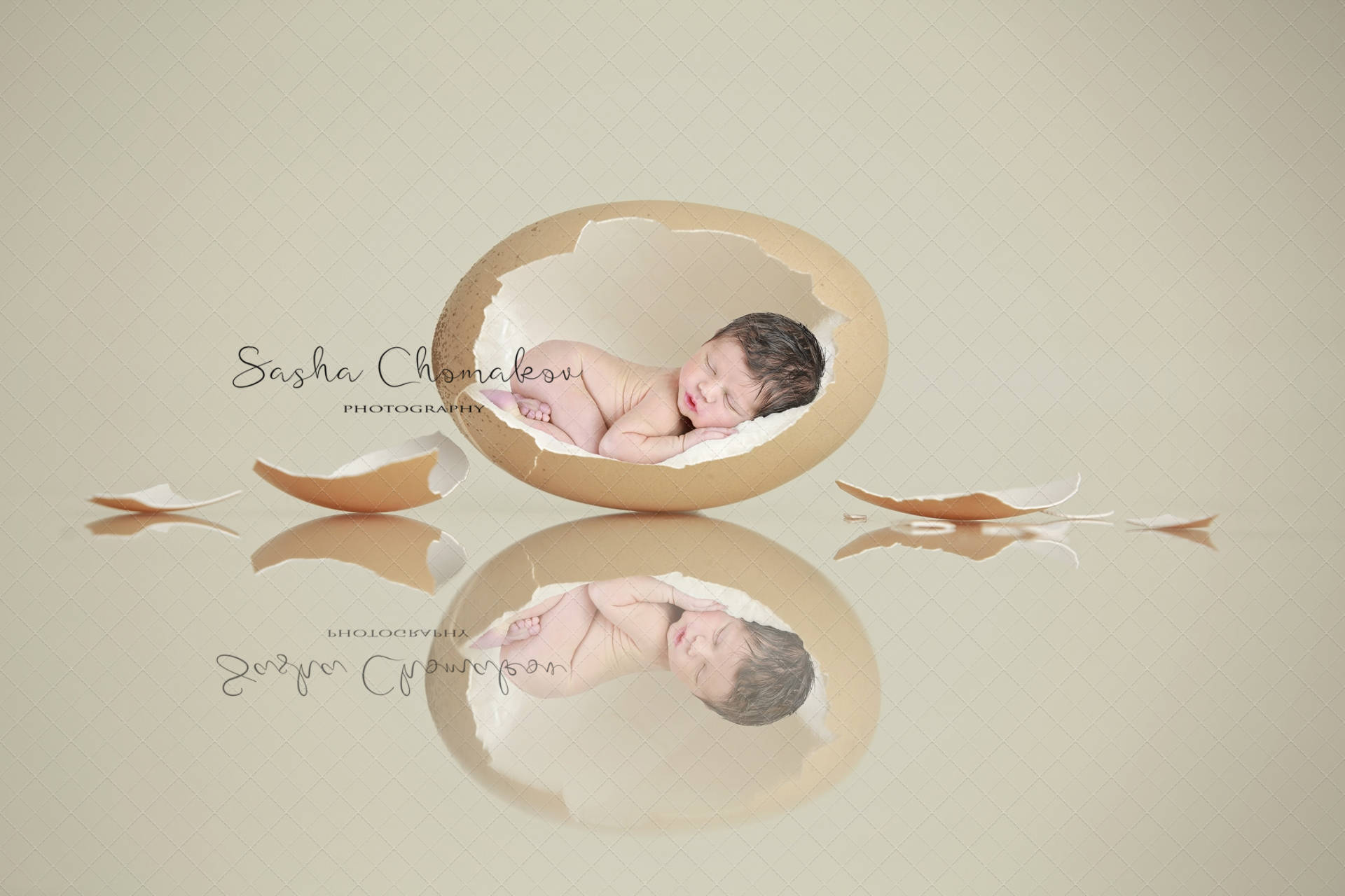 Digital backdrop background newborn baby girl or boy egg | Etsy