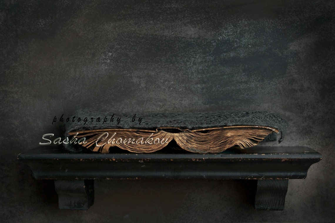 Digital Backdrop Background Newborn Baby Girl or Boy Book - Etsy