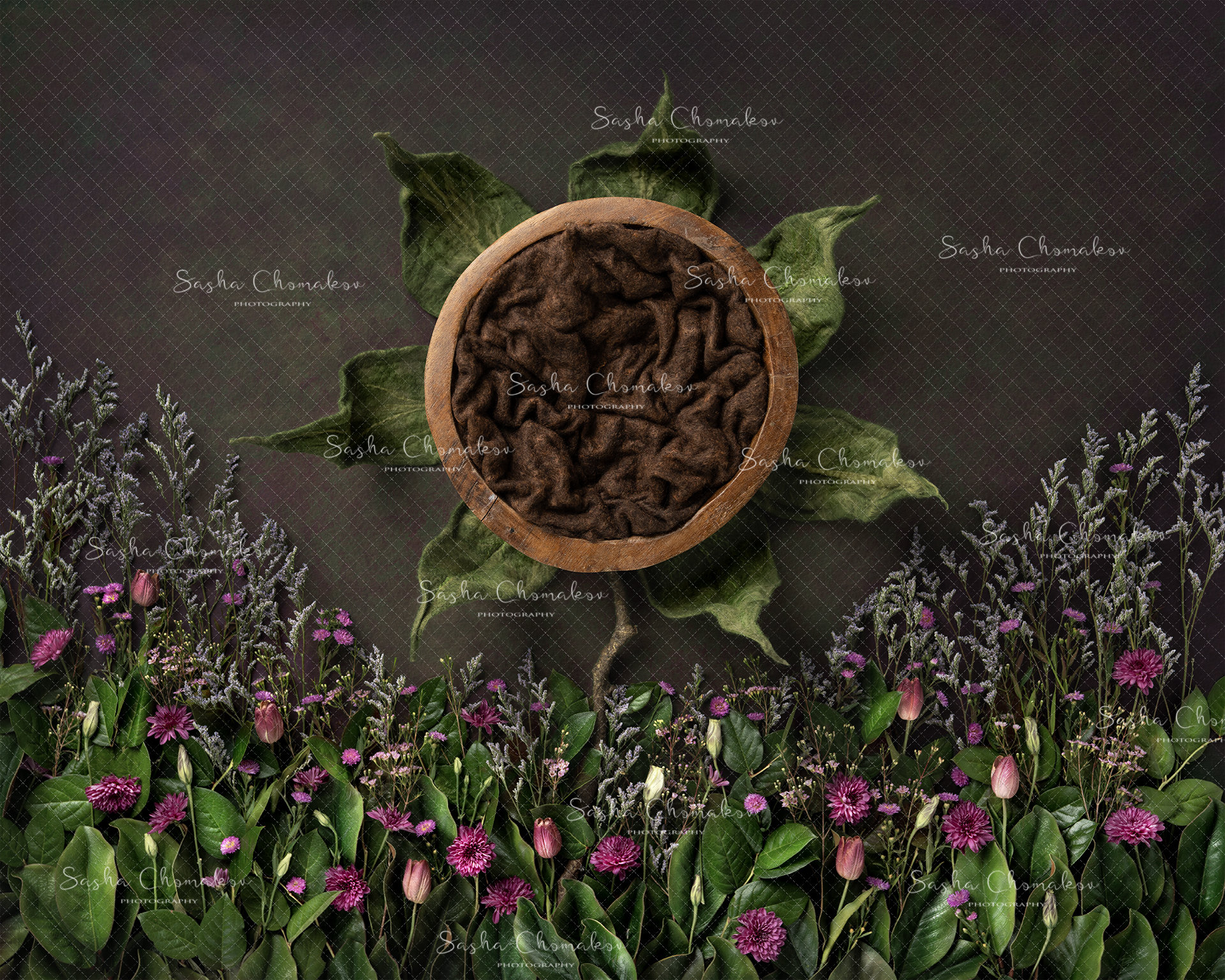 Digital Backdrop, Background Newborn Baby Girl Flower Overhead Purple ...