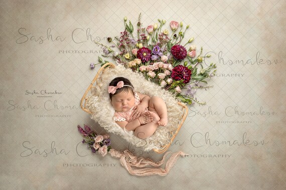 Digital Backdrop Background Newborn Girl Floral Flowers Cream - Etsy