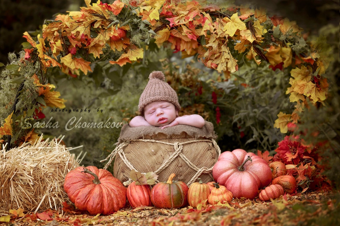 Digital Background Backdrop Newborn Baby Boy or Girl Fall Outdoors - Etsy