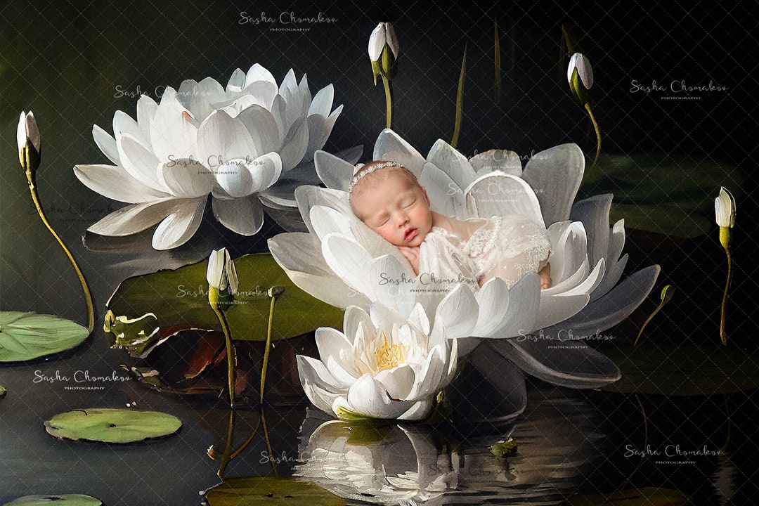 Digital Backdrop, Background Newborn Baby Girl , Hand Painted White ...