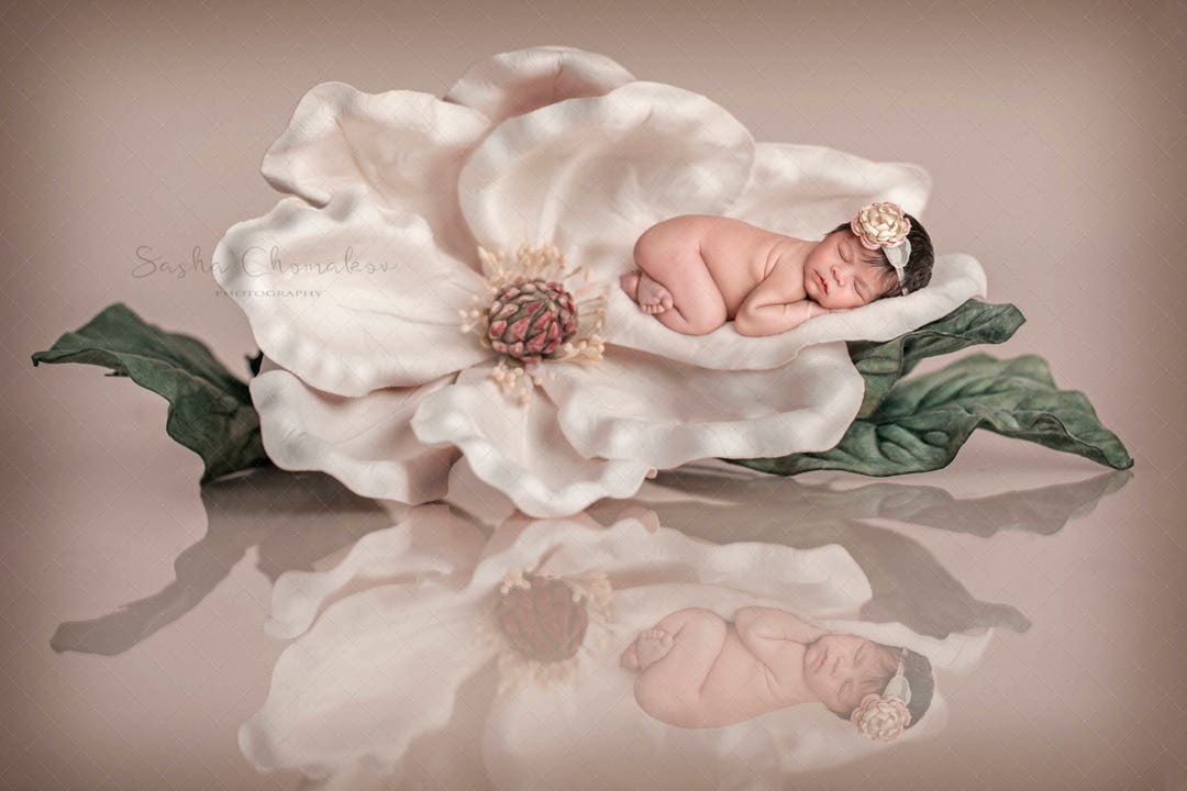 Digital Backdrop, Background Newborn Baby Girl White Cream Flower ...