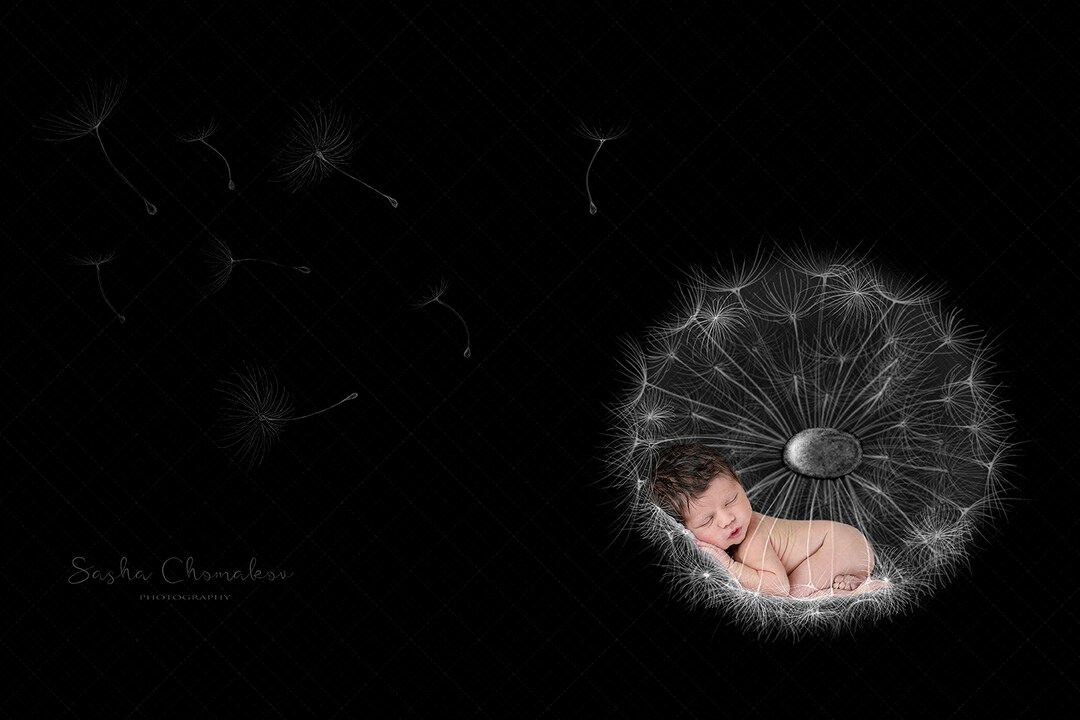 Digital Backdrop Background Newborn Baby Boy or Girl Dandelion Hand ...